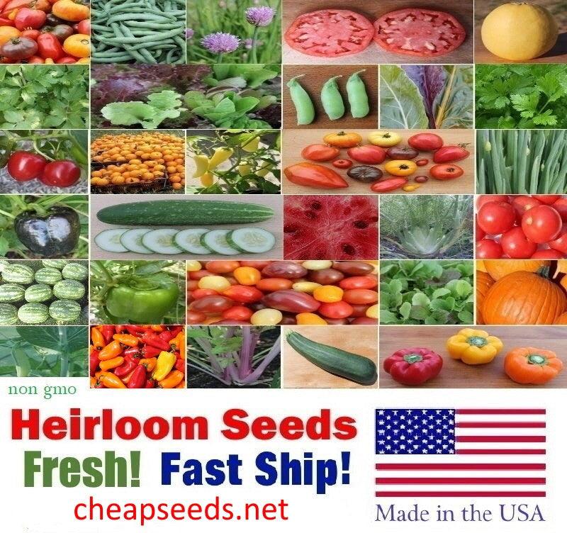 Cheap Seeds – Cheap Seeds, LLC