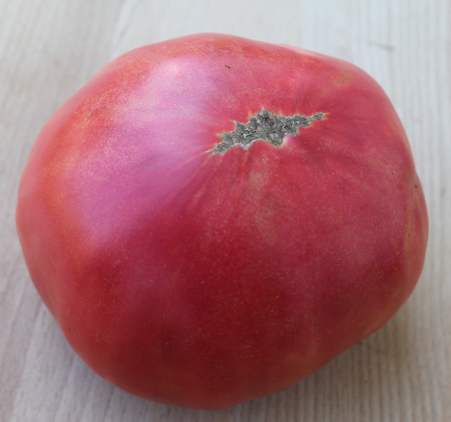Depp's Pink Firefly Tomato – Cheap Seeds, LLC